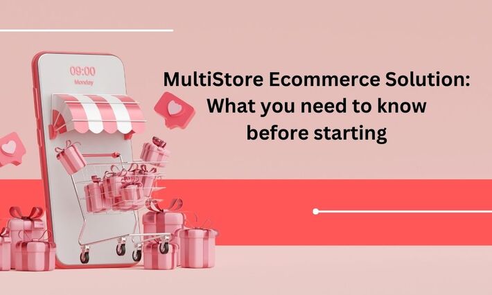 Multi-store eCommerce Solution: The Complete Guide