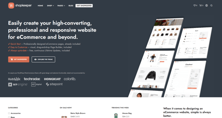 30+ WordPress Theme For Ecommerce Website